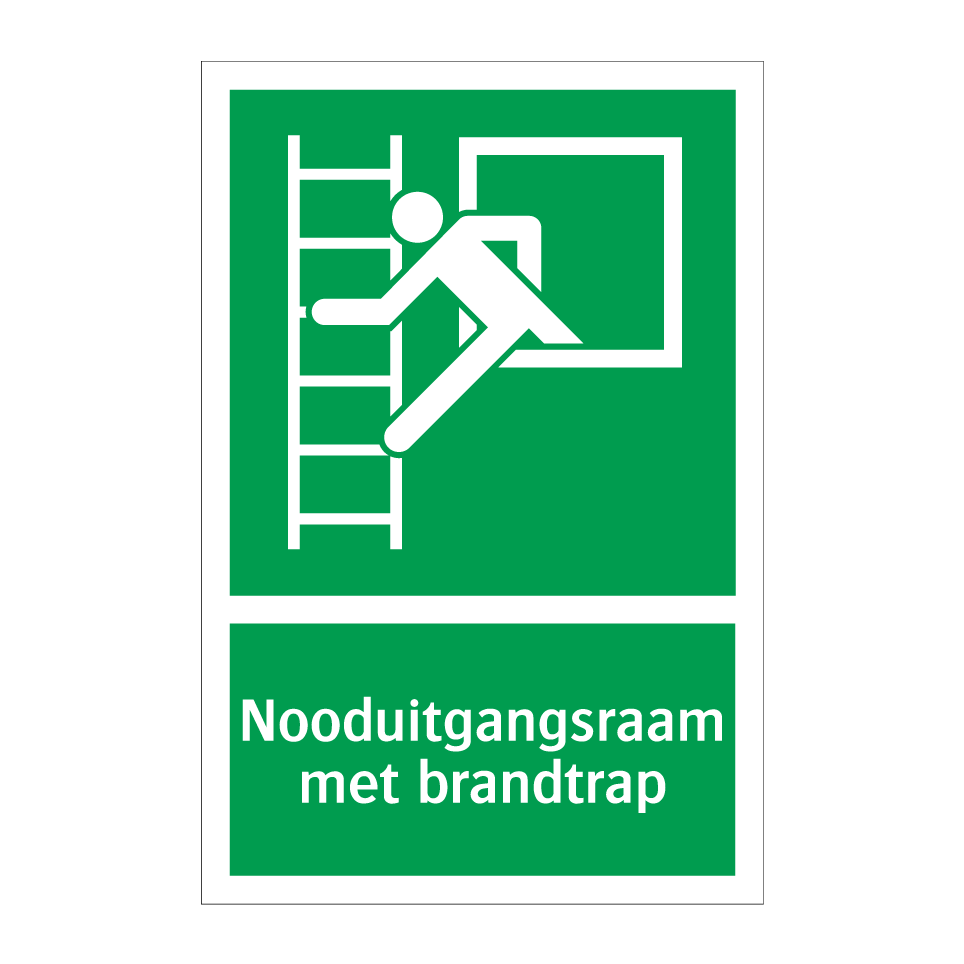 Koop Nooduitgangsraam met brandtrap bord | SignOnline | NL-E1066